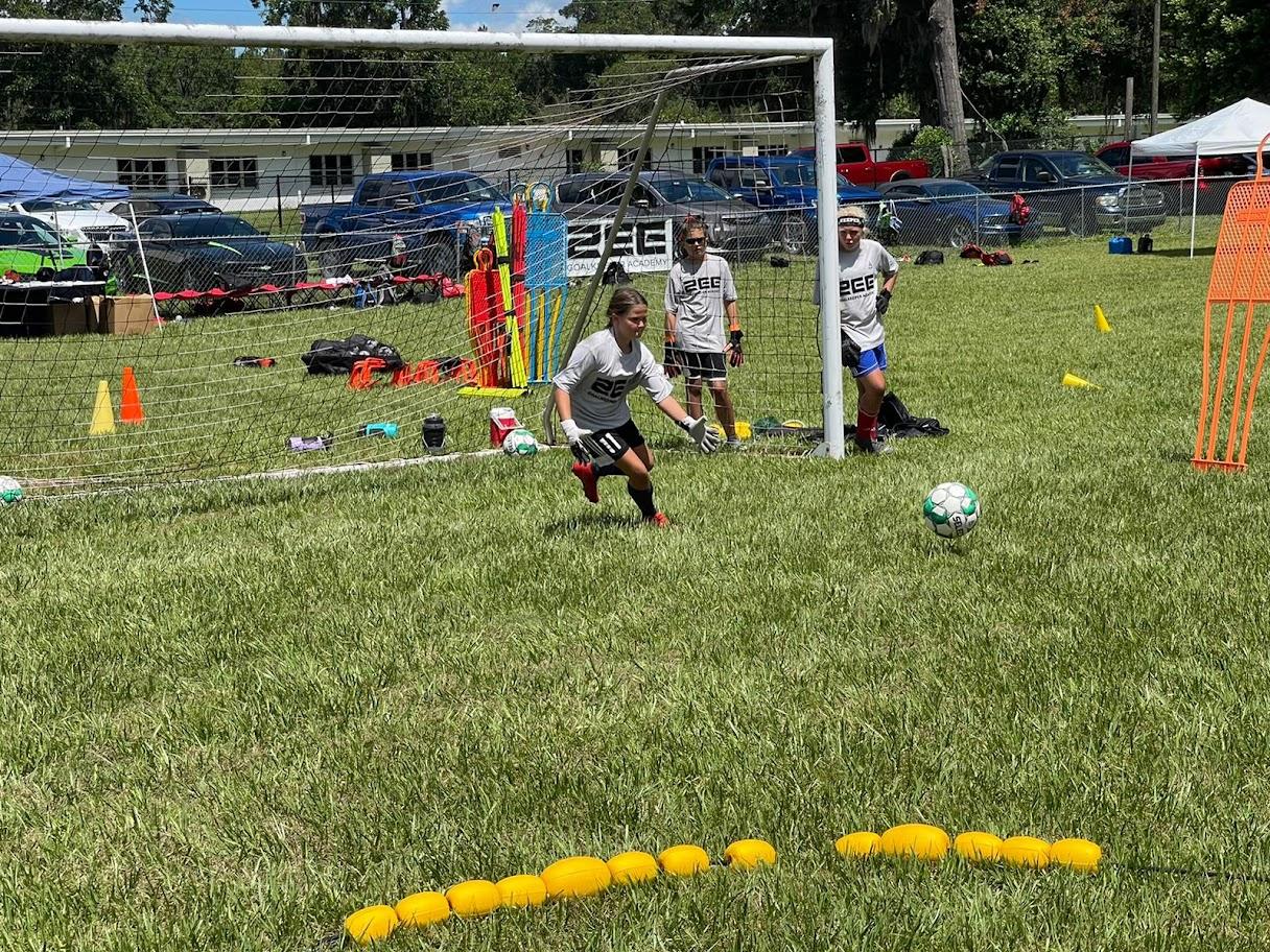 ZEE Deflector: Custom Built Goalkeeper Deflection Training Tool ...